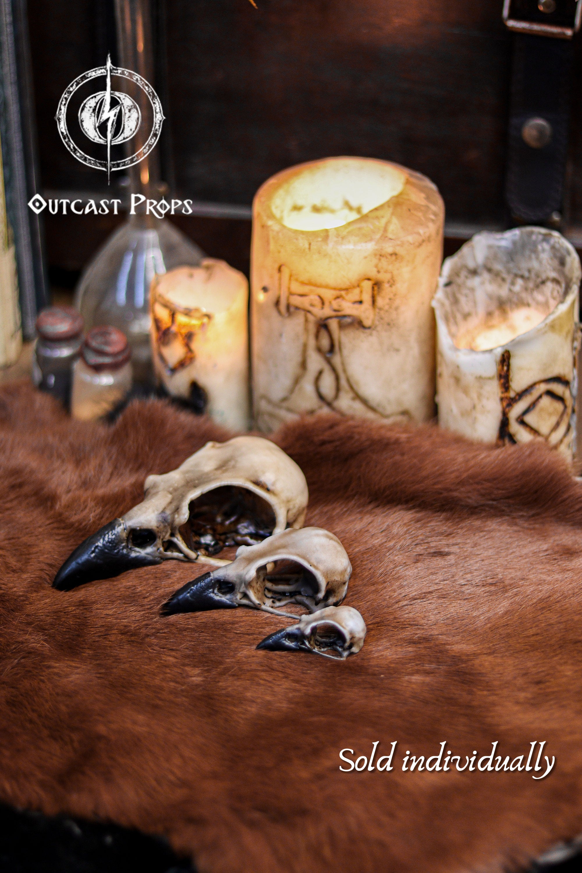 Resin Crow Skull Replica – Outcast Props